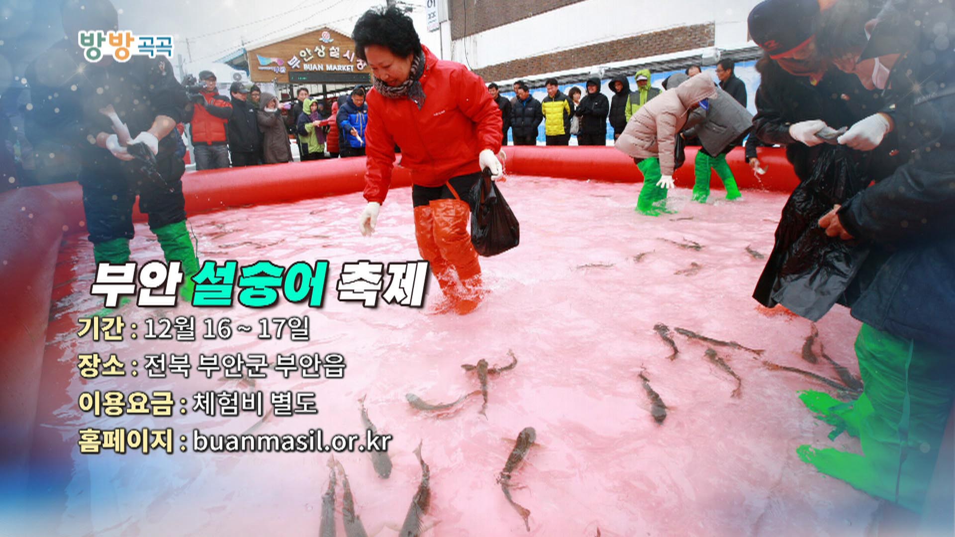 연합뉴스tv